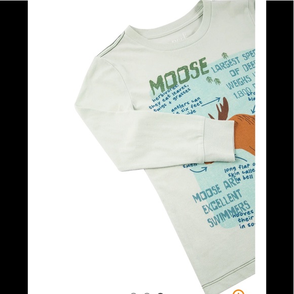 Peek | Shirts & Tops | Nwt Moose Tee X The Nature Conservancy | Poshmark